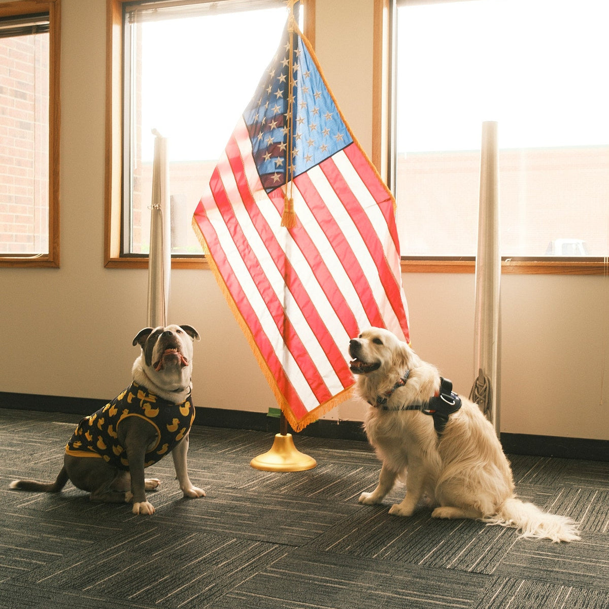 Indoor Flag Sets – Flags USA