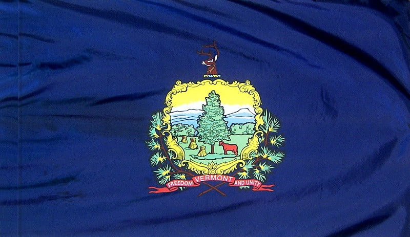 Vermont - State Flag with Pole Sleeve - For Indoor Use – Flags USA