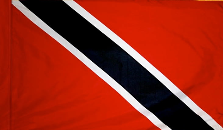 Trinidad and Tobago Flag with Pole Sleeve - For Indoor Use – Flags USA